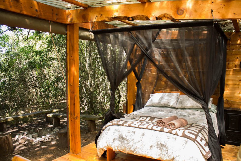 Sleeping in the middle of Platbos Forest: Bush Buck Suite | I'M 8 HOURS ...