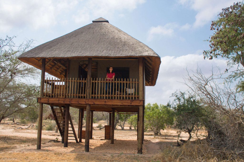 This treehouse will make you excited: nThambo Tree Camp | I'M 8 HOURS AHEAD